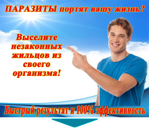 Глисты лечение взрослого лечение