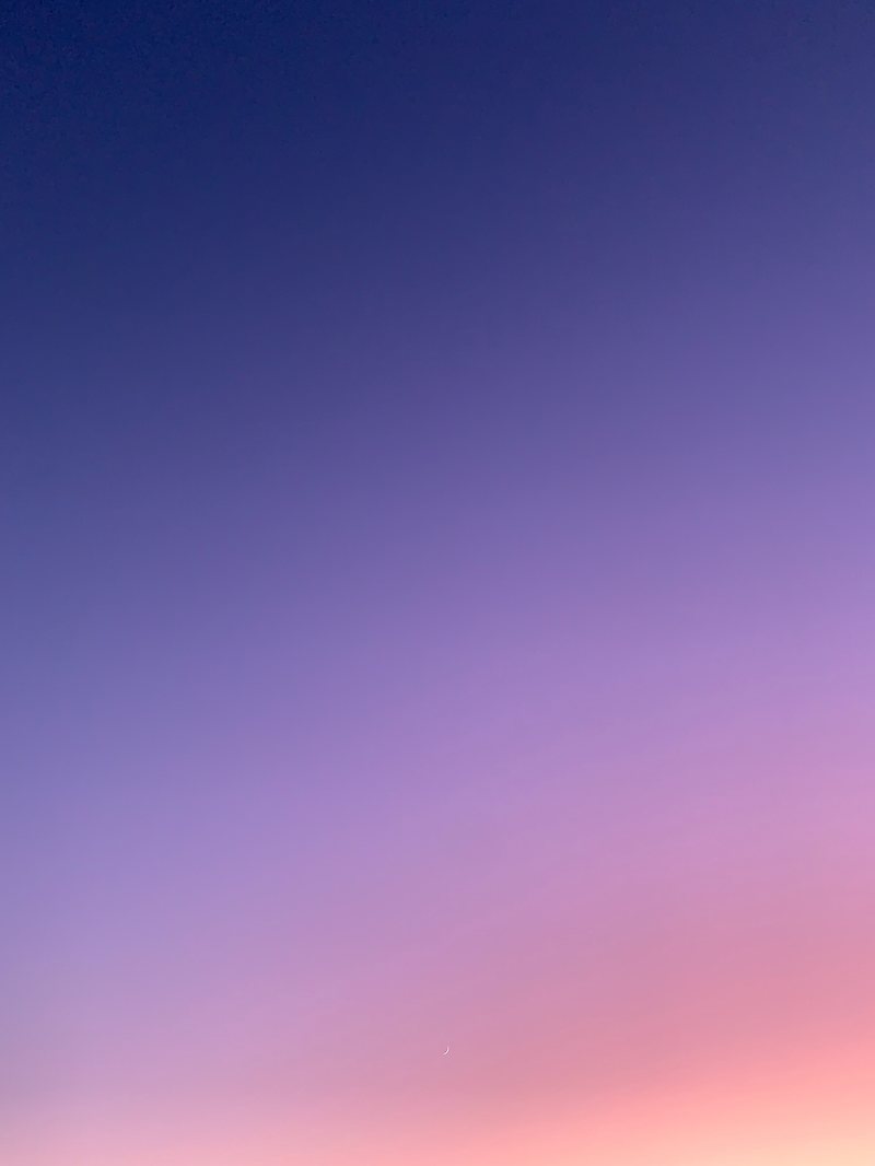 [iOS] UITextField placeholder color 변경하기 — 코찐 기술 블로그