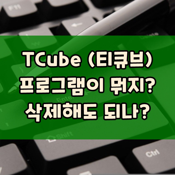 Teruten TCube (티큐브) 프로그램이 뭐지? 삭제해도 되나?