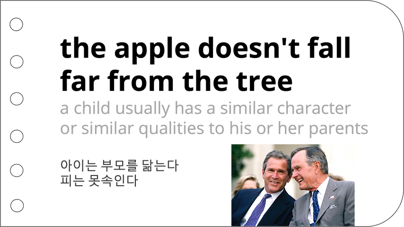 영어근육 만드는 365 프로젝트 :: the apple doesn't fall far from the tree