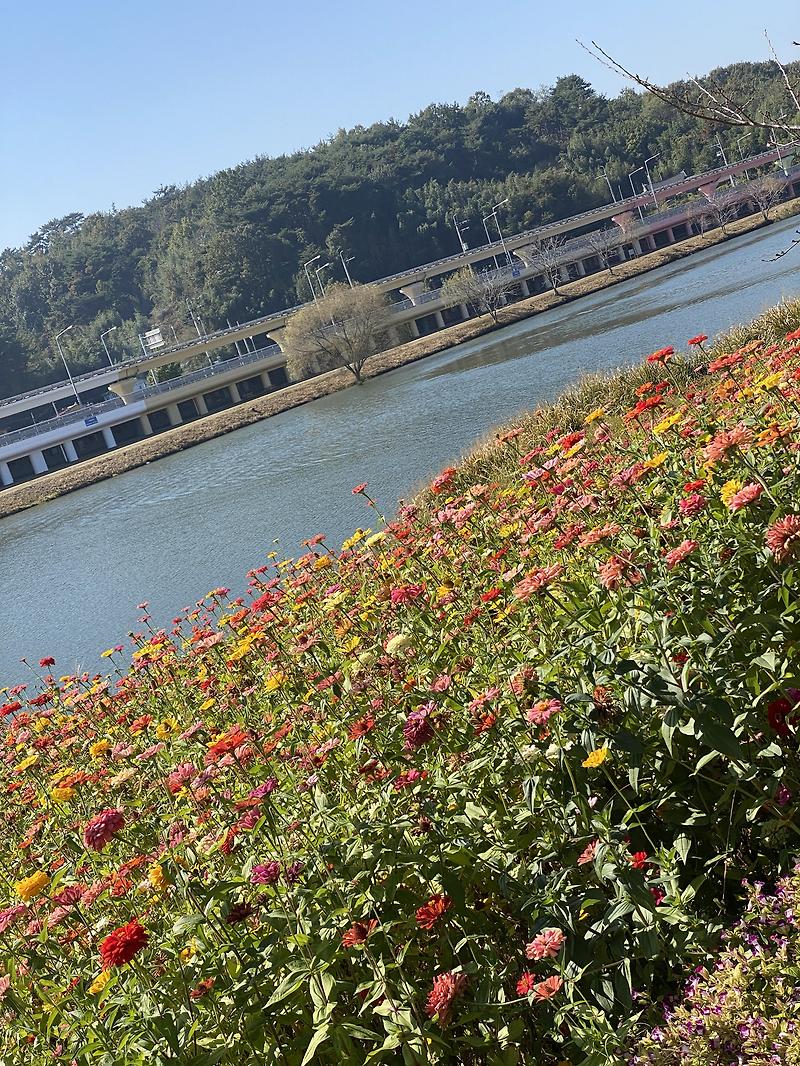 [c++/LeetCode-DP] 91. Decode Ways (w/ DP 풀이 전략)