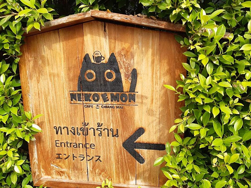 NEKOEMON CAFE IN CHIANGMAI (이쁜 일본식 카페?)