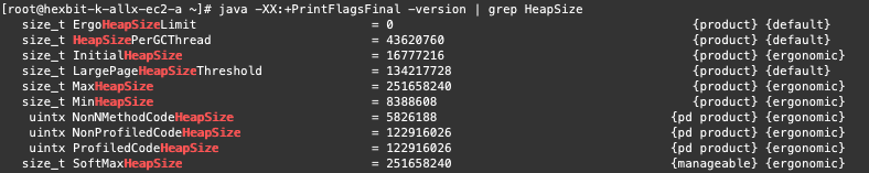 [Java] XMS, XMX — hello