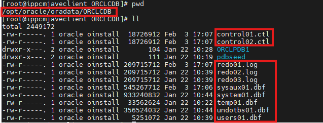 [Avamar] Oracle Database GUI 복구