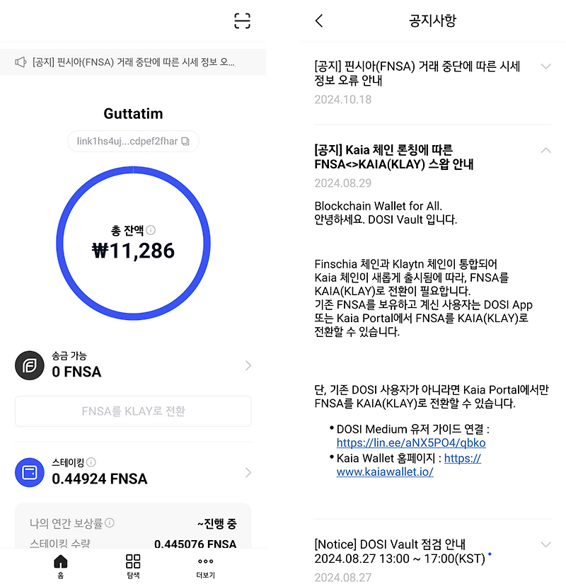 핀시아(FNSA) 거래 중단! :: Guttātim