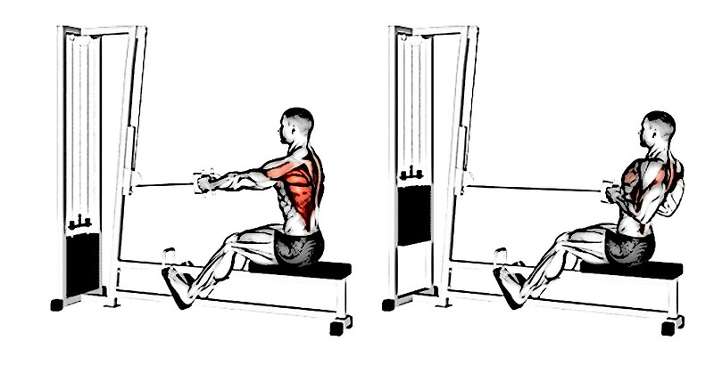 12 . 시티드 패러럴 그립 로우( Parallel grip Seated cable row)