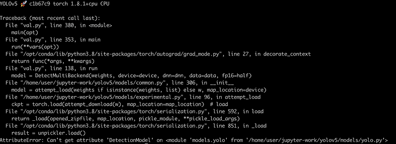 yolov5 오류 Can't get attribute 'DetectionModel' on