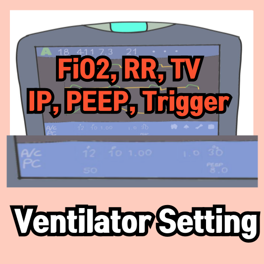 FiO2 RR TV IP PEEP Trigger sensitivity ventilator 알아보기