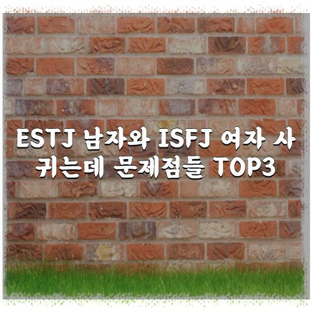 ESTJ 남자와 ISFJ 여자 사귀는데 문제점들 TOP3