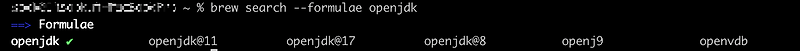 [Mac 개발환경] homebrew로 자바 openjdk 설치 및 버전 변경