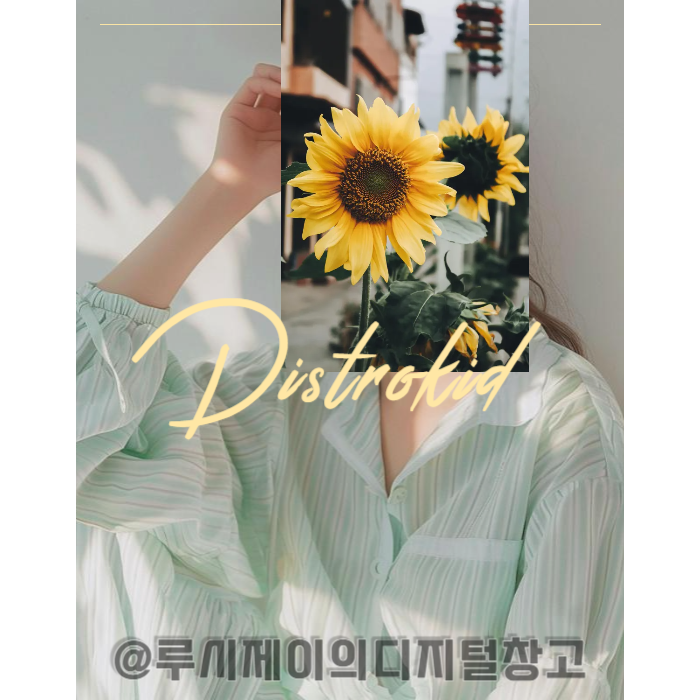 디스트로키드 Distrokid 수익 보고서 통계 보고서