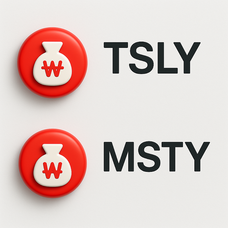 TSLY + MSTY 로 월급 만들기 프로젝트 시작합니다.