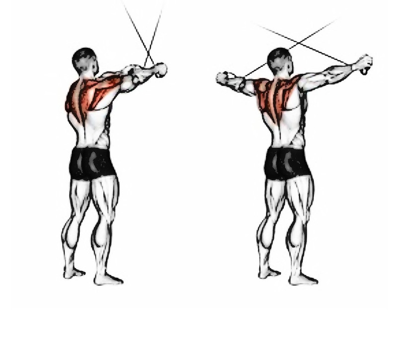 14 . 케이블 크로스 오버 레이즈( Cable Overhead Raises)