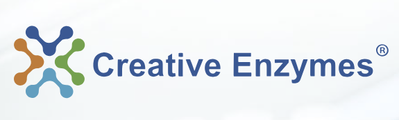 [Creative Enzymes] CTP sodium solution (100 mM)