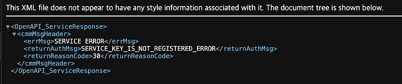 [공공데이터포털 API] 인코딩된 APIKey를 endpoint에서 사용해할 때 — 👩🏻‍💻