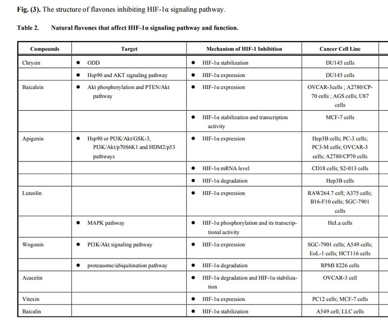 Natural Flavonoids: Inhibition of HIF-1α Signaling Pathway