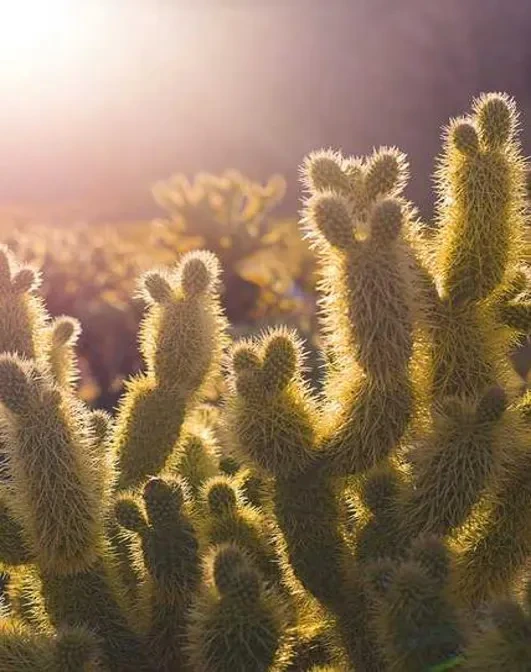 국내 호텔과 해외 호텔 예약 차이점과 팁 :: KNS