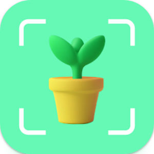 사진으로 나무이름 찾기, 나무 이름 검색, 나무이름 찾기 앱