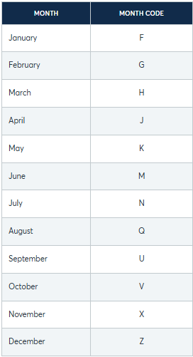 E-mini S&P 500 option Symbol 해석