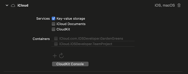SwiftUI - iCloud 사용하기 — IT Document
