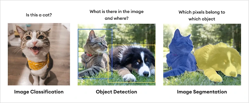 3. 이미지 분석 기술: Classification, Object Detection, Segmentation