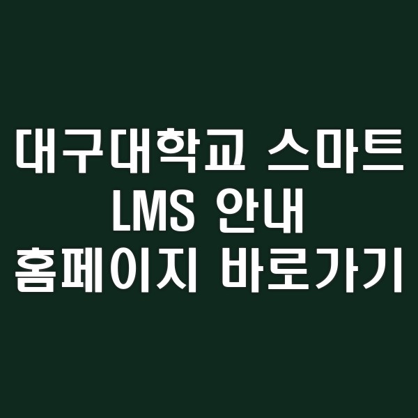 대구대학교 스마트 LMS 안내 홈페이지 바로가기
