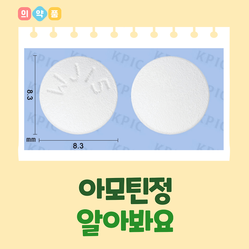 아모틴정 성분정보 효능효과 용법용량 주의사항