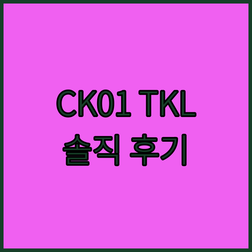 텐키리스 키보드 COX CK01 TKL 적축 실제 사용자 후기 완벽 분석