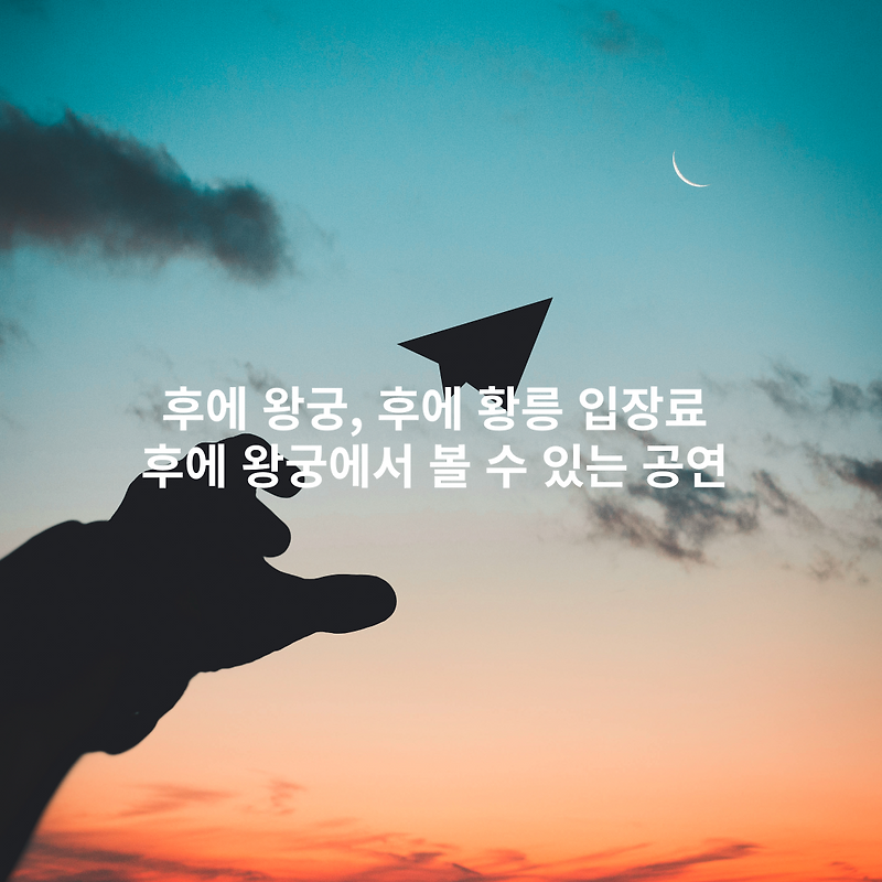 콜못사의 여행일지