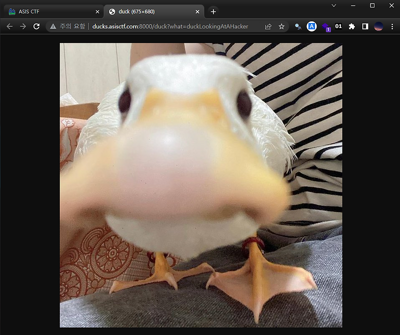 [ASIS CTF] Beginner ducks Writeup