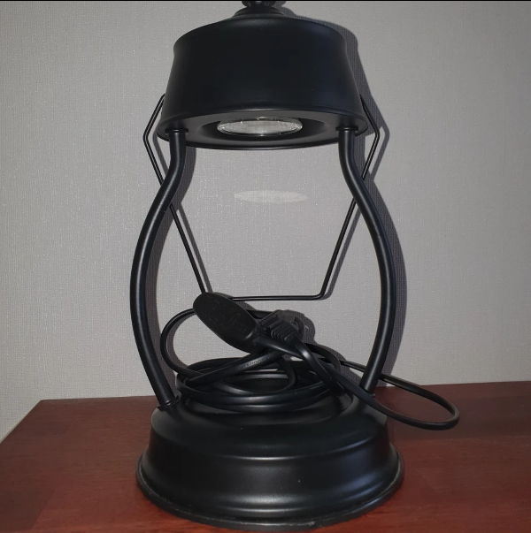 𝑩𝑬𝑬𝑪𝑯𝑨