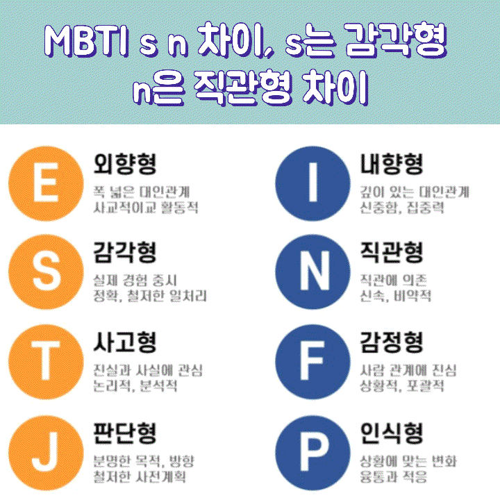MBTI s n 차이, s는 감각형 n은 직관형 차이