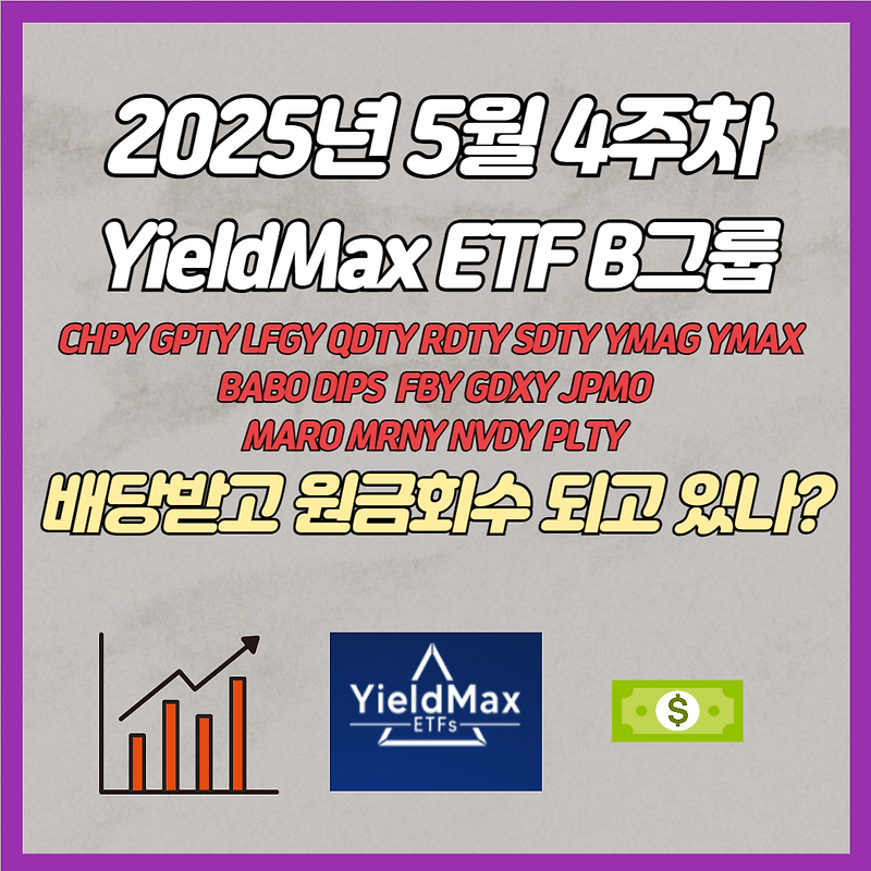 2025년 5월 일드맥스 B그룹 배당에 따른 원금회수율 확인(feat. NVDY, PLTY)