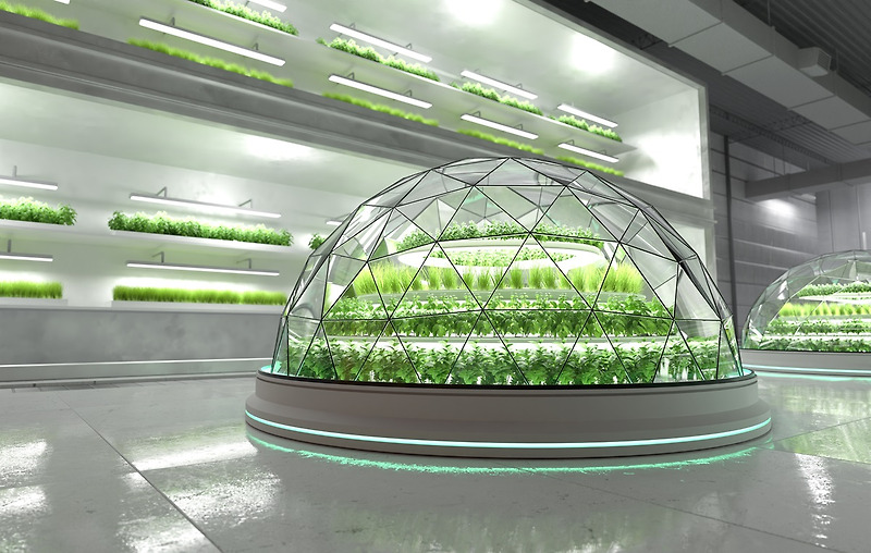 How AI and IoT are Shaping the Future of Global Smart Weed Control ...