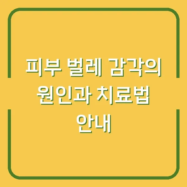 피부 벌레 감각의 원인과 치료법 안내
