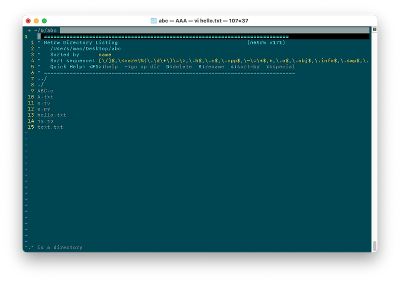 Vim - Netrw (스타일)