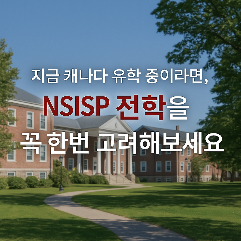 부모님 없이도 안정적인 유학,NSISP 전학으로 이어가세요