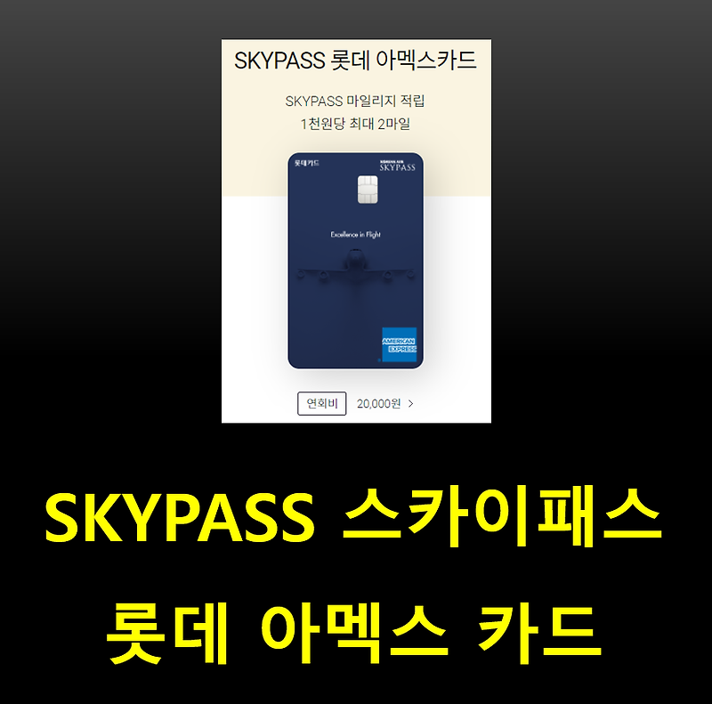 세금납부 마일리지 카드 추천 스카이패스 SKYPASS 롯데 아멕스 카드로 미국주식 양도소득세 낼때 수수료와 마일리지 비교 이득인가 :: 부자되는 정보