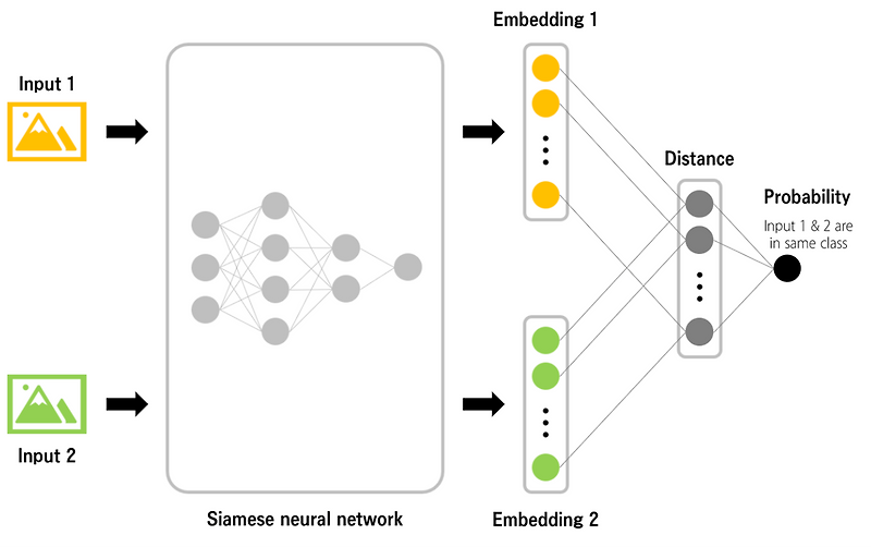 논문 리뷰 | Inferring gene regulatory networks from single-cell gene expression data via deep multi ...