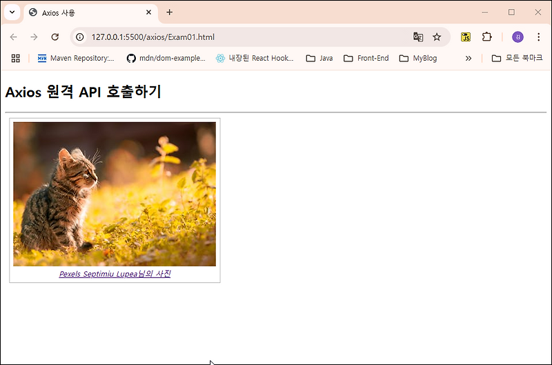 [JavaScript] Axios 사용해 보기