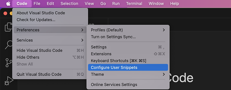 Vue Vscode snippet 만들기