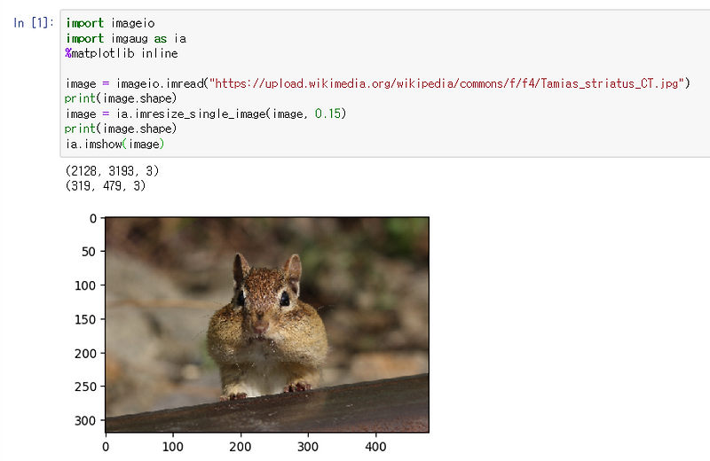 [imgaug] Segmentation Map Augment하기 (1)
