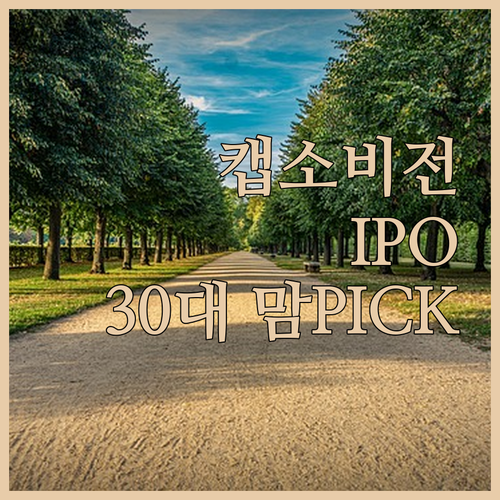 CapsoVision IPO, 30대 애엄마가 찜한 이유는?