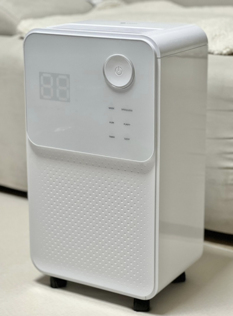 제습기가 필요한 계절 롯데알미늄 12L LDH-7000
