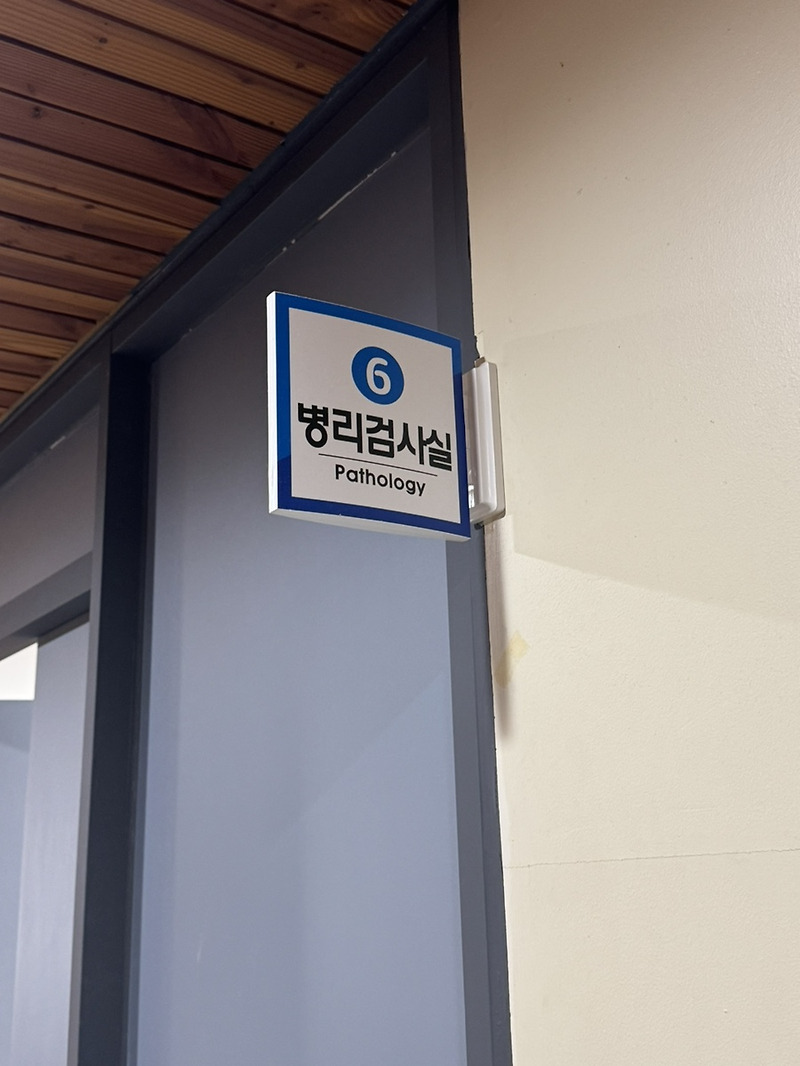 보건소에서 간기능, 신장기능 검사하기 : 가격, 검사방법