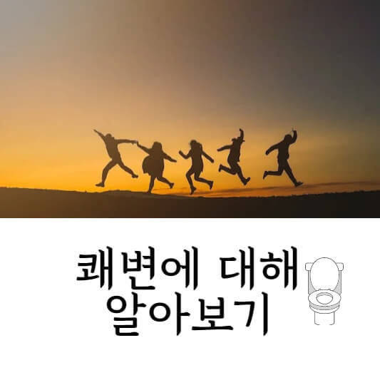 쾌변에 좋은 식품 알아보기