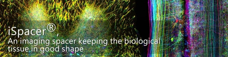 iSpacer® Imaging Spacer: An imaging spacer keeping the biological ...