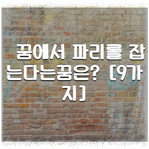 꿈에서 파리를 잡는다는꿈은 [9가지]