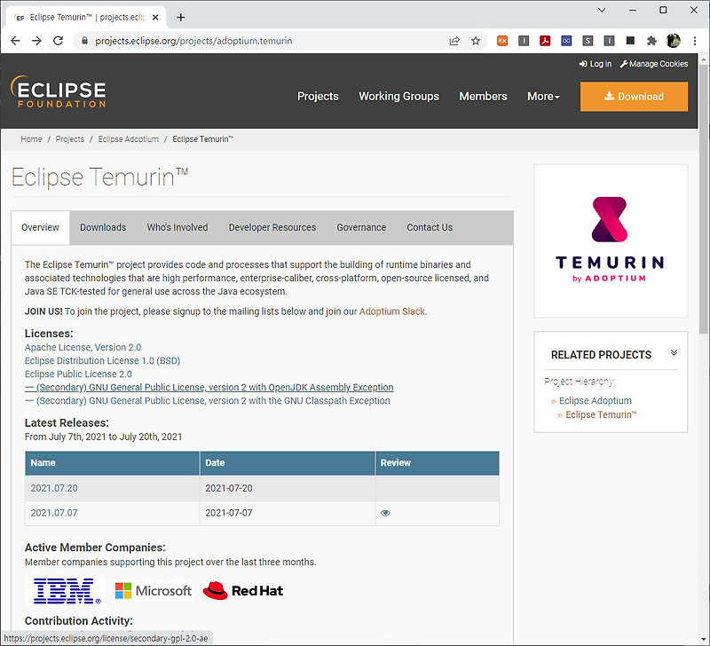 Adoptium Eclipse Temurin JDK 17 설치하기