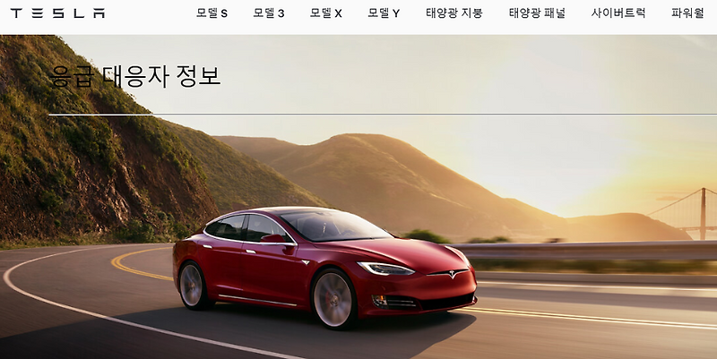 빈번한 Tesla 전기 자동차 소프트웨어 오류의 원인